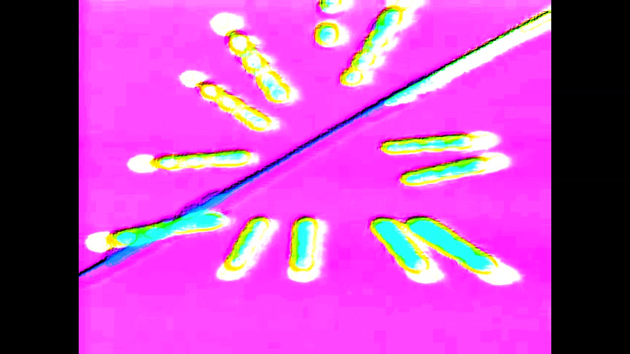 Prism Entertainment VHS Logo in P Major 85 - YouTube