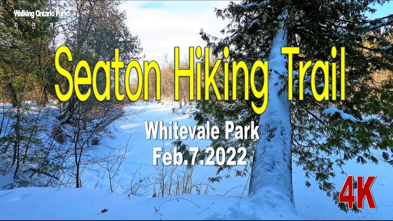 [4K] Seaton Hiking Trail, Whitevale Park, #5, [2022.02.07] - YouTube