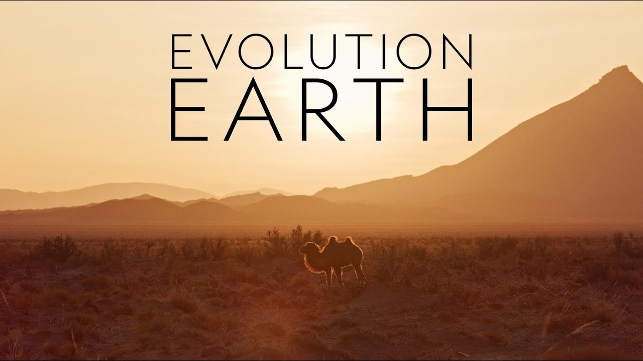 Evolution Earth - Grasslands - YouTube