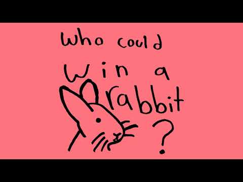 Who Could Win a Rabbit (Animal Collective cover) - YouTube