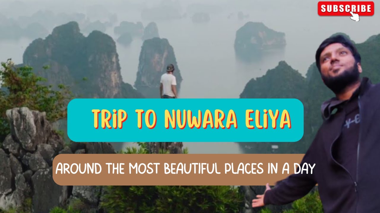 Trip to Nuwara Eliya - Places you must visit - Ambewela Farm- Moon ...