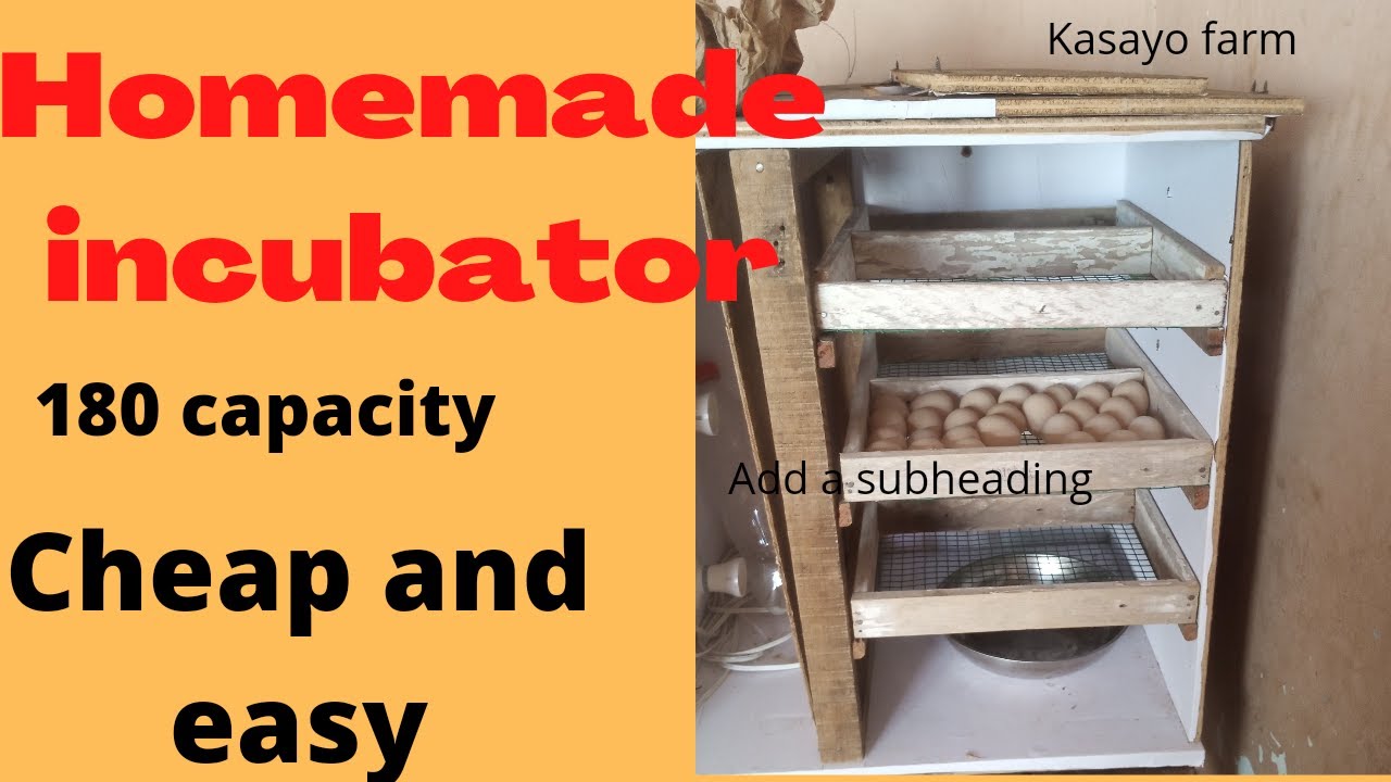 Making an egg incubator with wood. Cheap and easy to use - YouTube