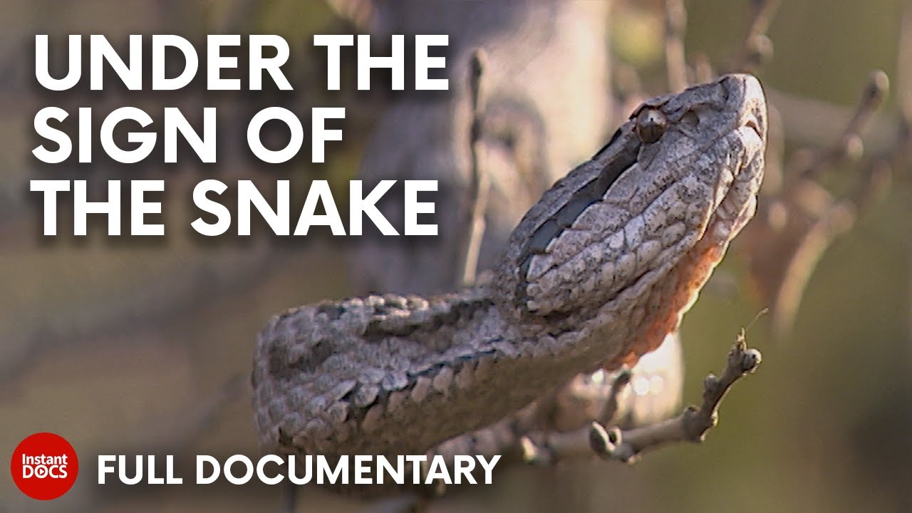 Under the sign of the snake | FULL DOCUMENTARY - YouTube