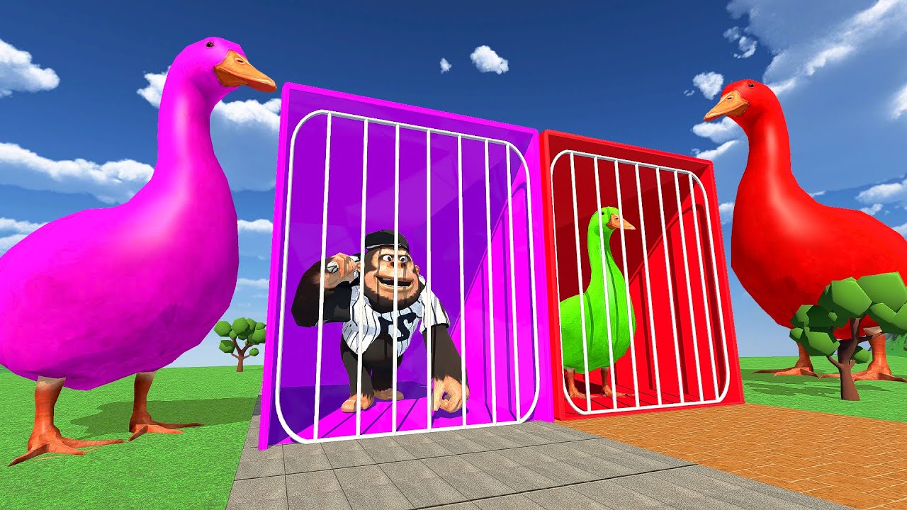 Zainy Toons Presents Duck vs Gorilla Fun Race Cartoons for Kids - YouTube