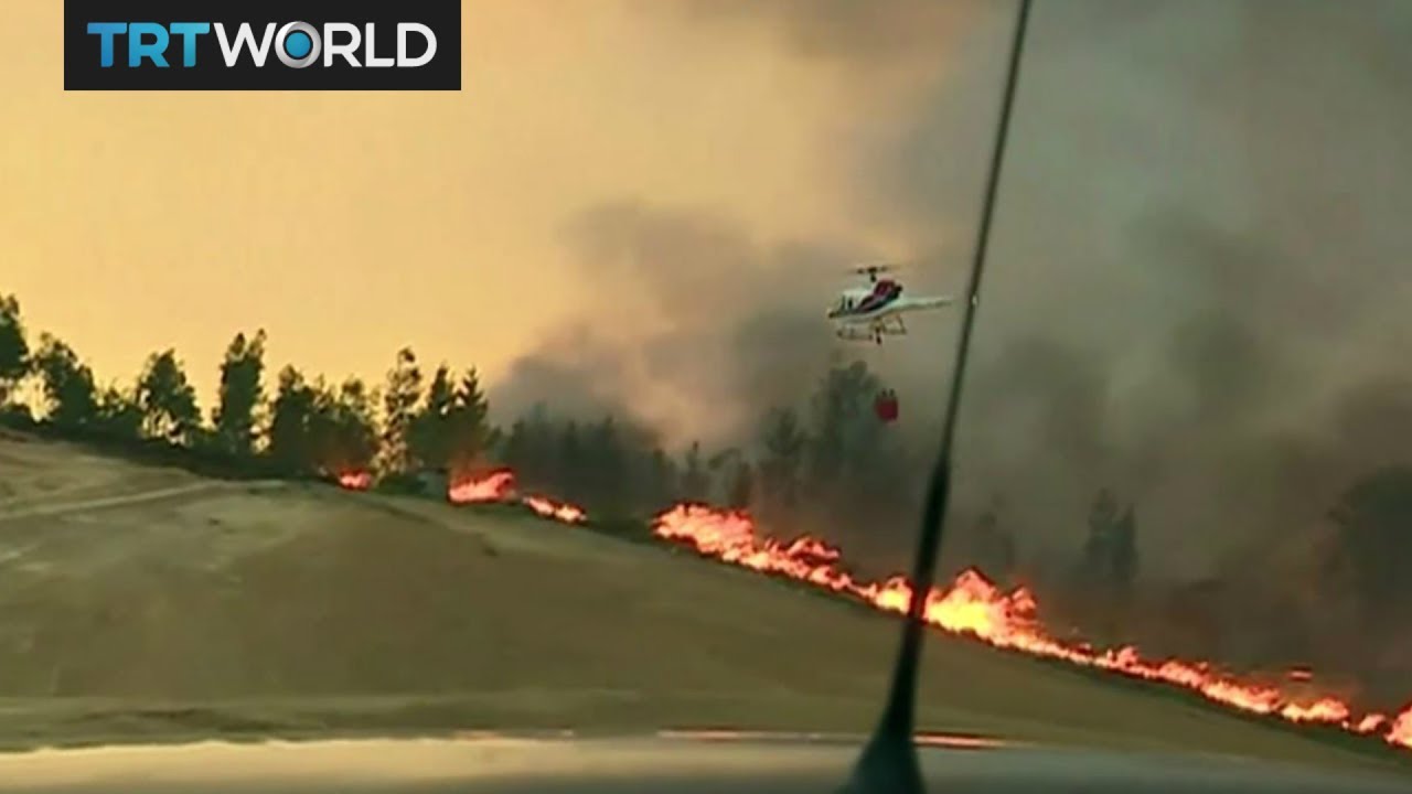 Portugal Fire: Dozens killed as massive blaze traps residents - YouTube
