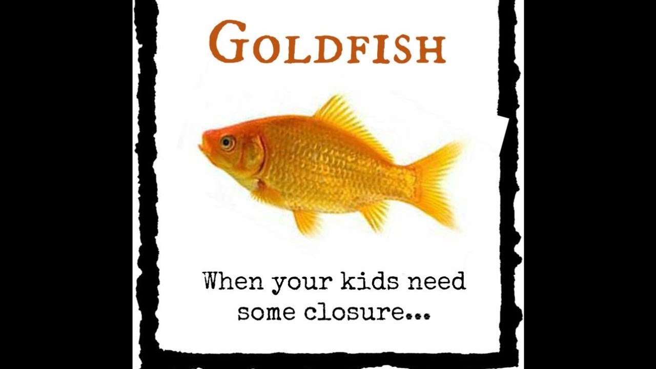 FISH FUN/ 1960 RFID CHIP FUN - YouTube