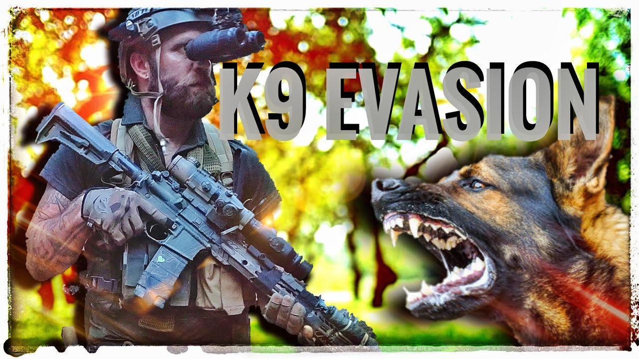 K9 Evasion | How To Evade K9 Units for SHTF #garandthumb - YouTube
