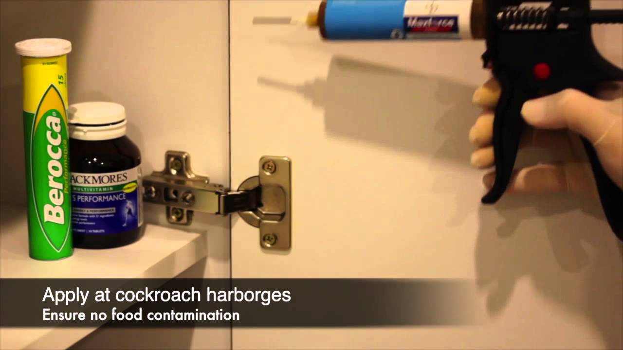 Maxforce Forte - YouTube