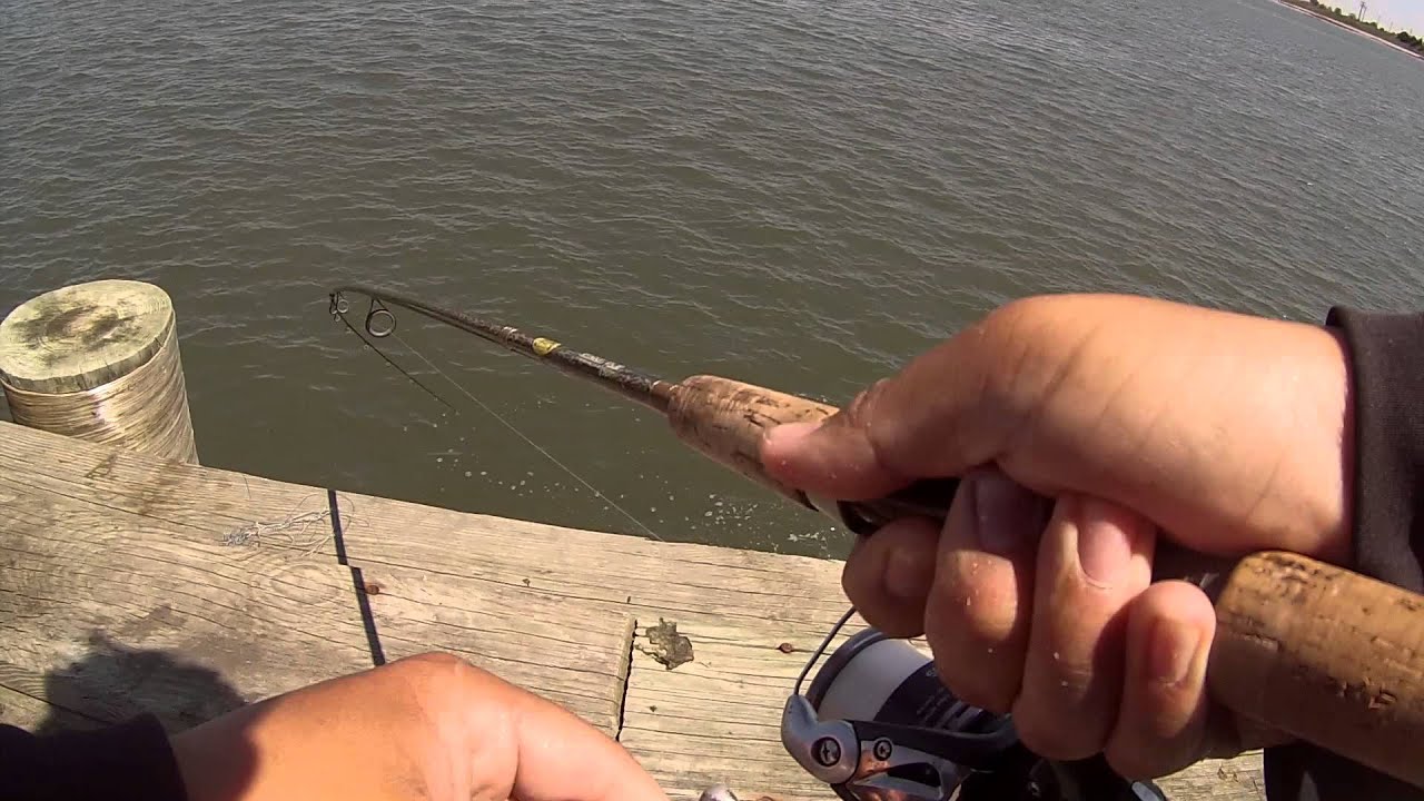 Fishing for Bluefish at the Absecon Bay (Atlantic City, NJ) - YouTube