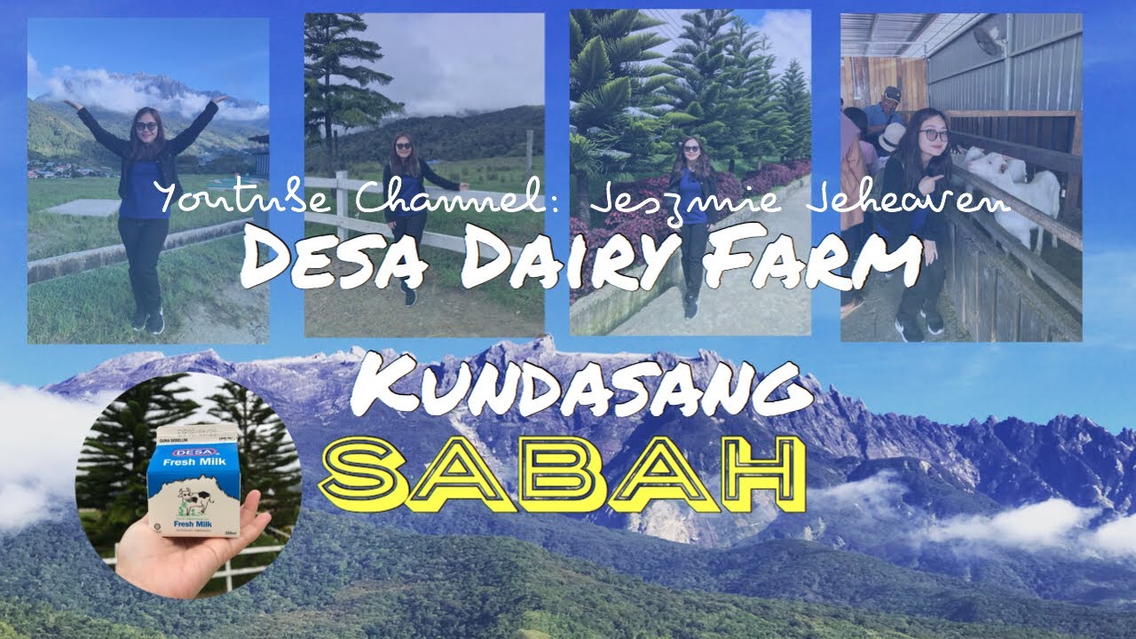 Kundasang Sabah| Desa Dairy Farm - YouTube
