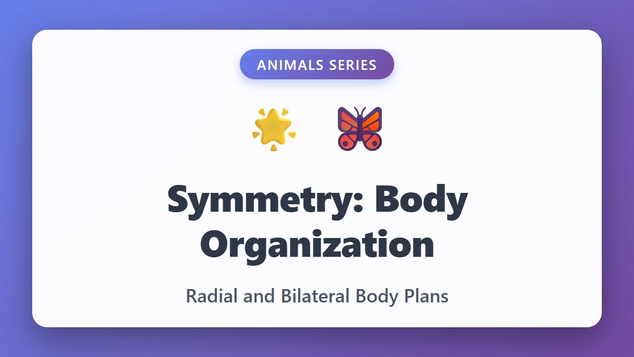 Symmetry in Animals: Radial vs Bilateral Body Plans Explained | Animal ...