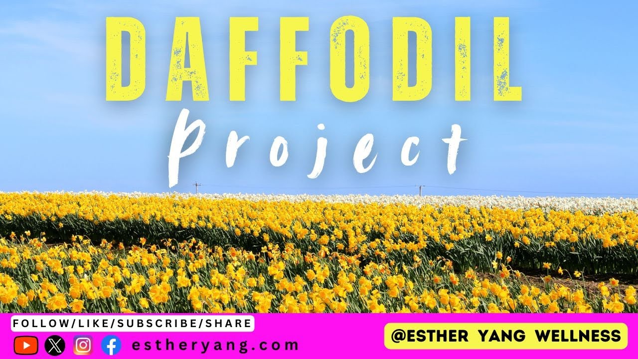 Daffodil Project - YouTube