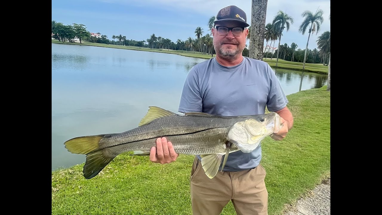 DOA TerrorEyz Puerto Rico snook - YouTube