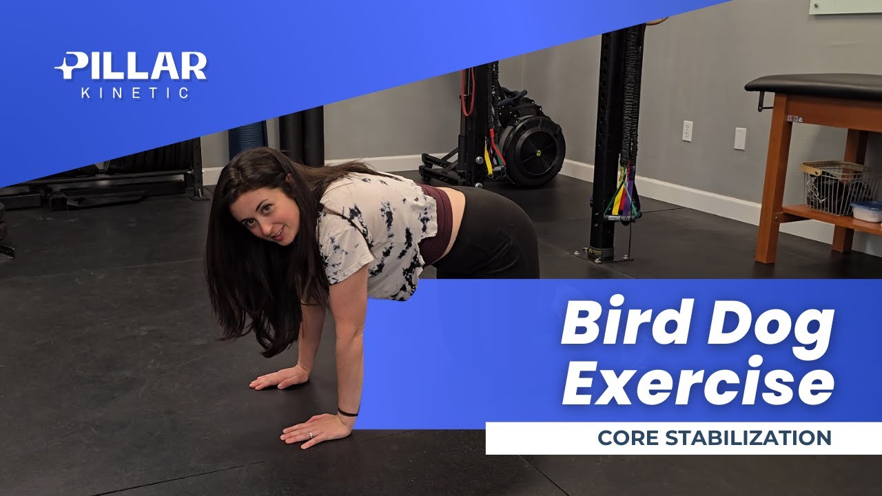 Bird Dog Exercise | Core Stabilization - YouTube