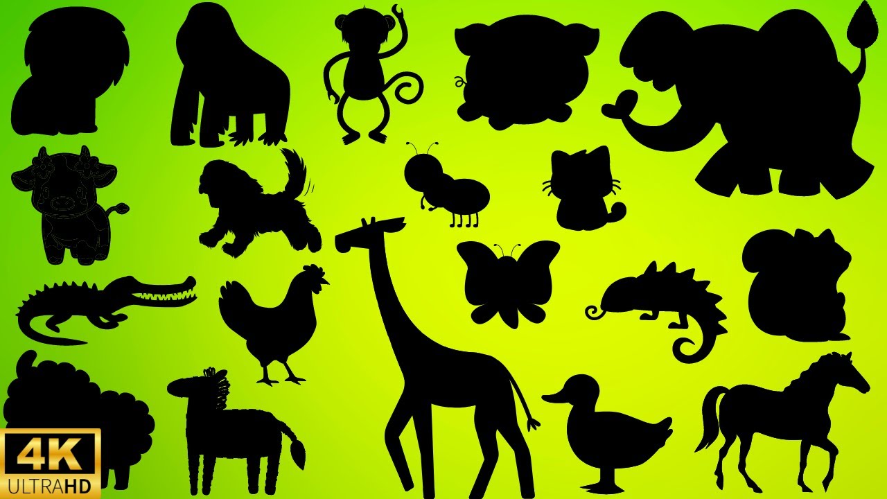 Guess the shadow of the animals quiz| shadow game| learning animals ...