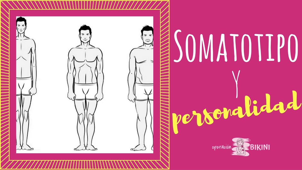 🔝 Somatotipo y personalidad - YouTube