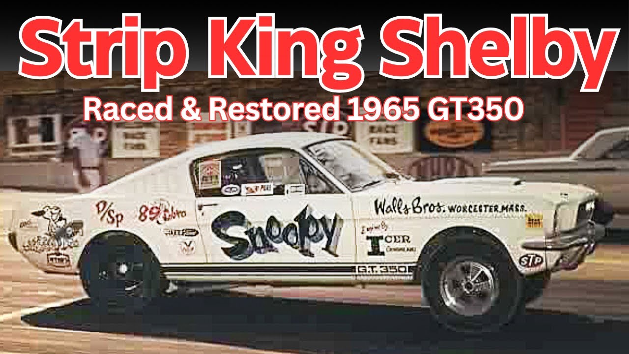 "Snoopy" Drag Racing '65 Shelby GT350 | Great History & Family Owned ...
