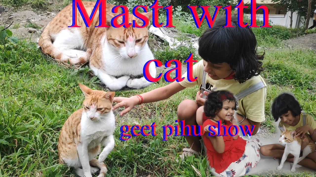 masti with cat geet pihu show Lockdown or corona kaal ki masti with ...