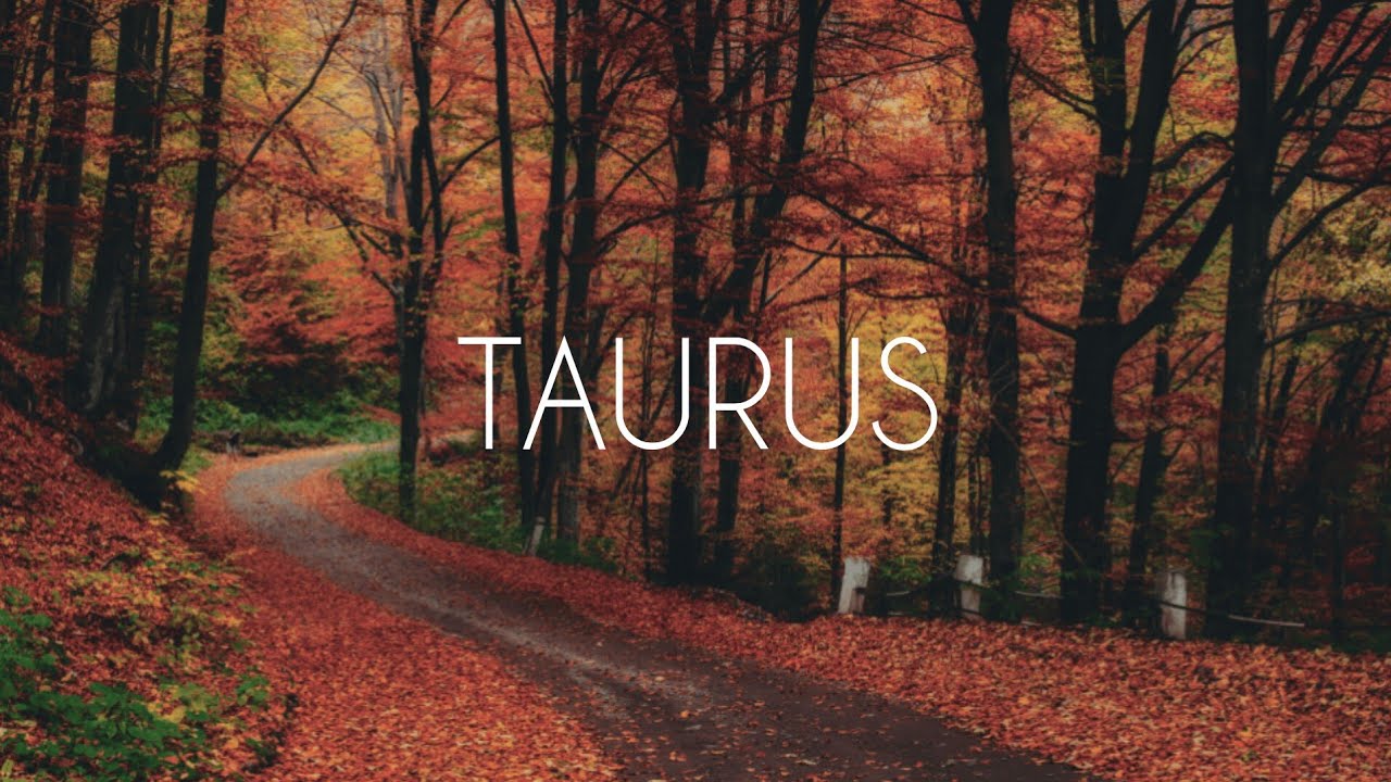 TAURUS: MAJOR LIFE CHANGES WILL BRING YOU HAPPINESS, TAURUS! Oct'24 # ...