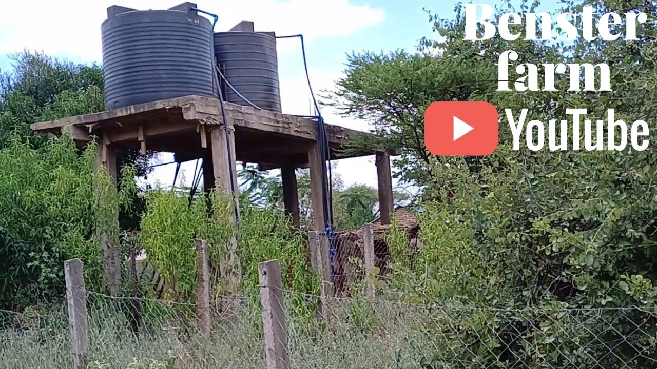 Setting up simple irrigation system on your own || No spending Money ...