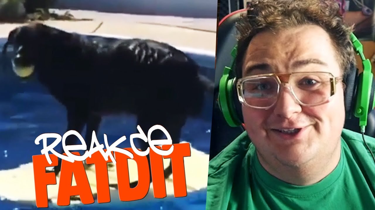 REDDIT MÁ TALENT! - YouTube