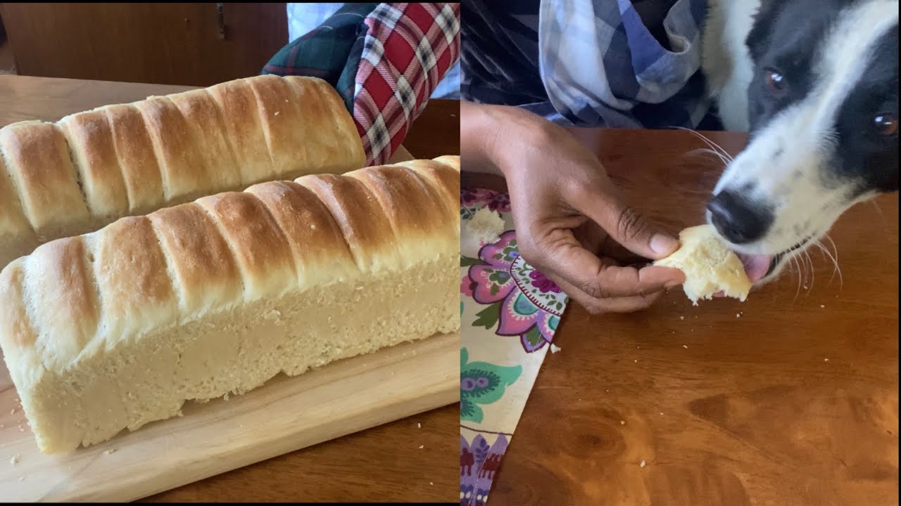 Try this delicious simple bread, even my dog ate it greedily - YouTube