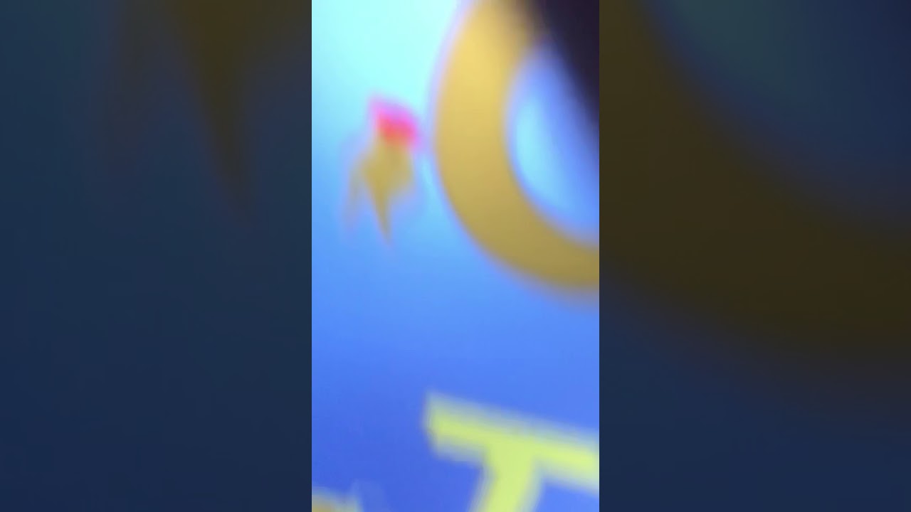 we’re singing the abcs backwards - YouTube