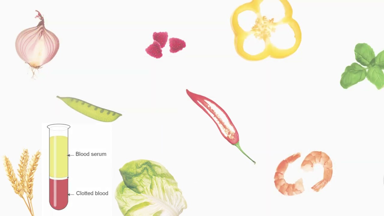 Taking the ImuPro Test - YouTube