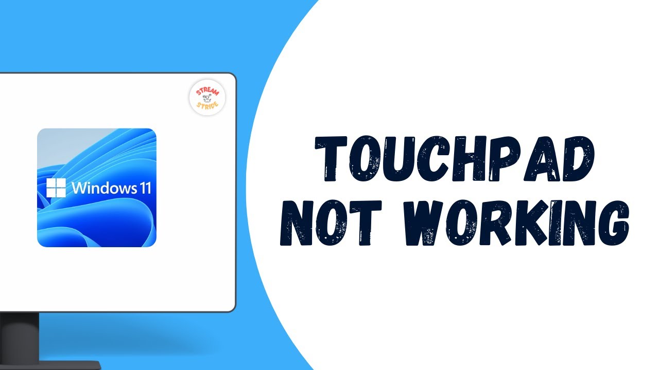 How to Fix Touchpad Not Working on Windows 11 - YouTube