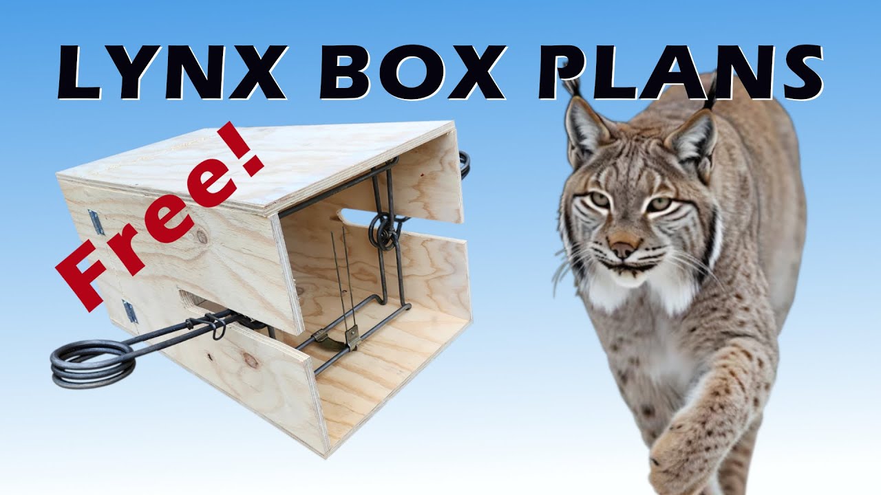How To Make LYNX Boxes For Trapping - FREE Plans! (4K) - YouTube