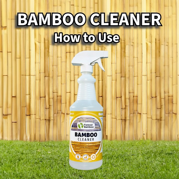 Forever Bamboo Cleaner Spray Premium Eco-Friendly Water-Based Mold, and ...