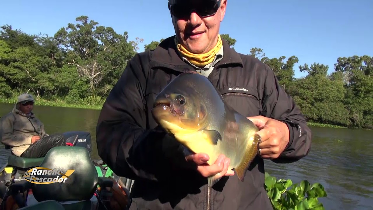 Pescando Pacu no Pantanal. Pescaria - bloco 2 - YouTube