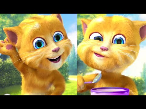 Talking Ginger / talking ginger/ YELLOW CAT/ yellow cat 🐈 😻 - YouTube