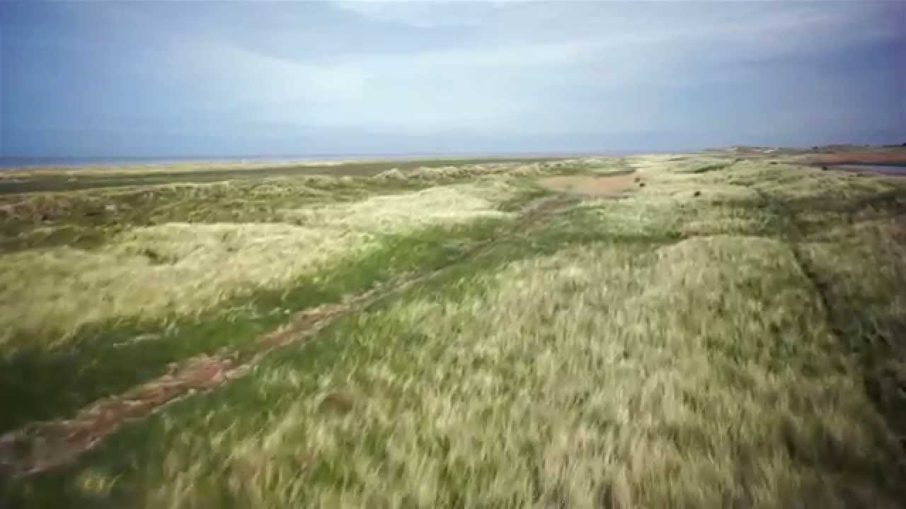 Green Links Video - YouTube