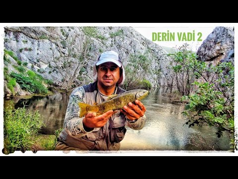 Muhteşem Derin Vadi'de Alabalık Avı (2)-Şelale Sesi Eşliğinde/ Terapiye Hoş Geldiniz