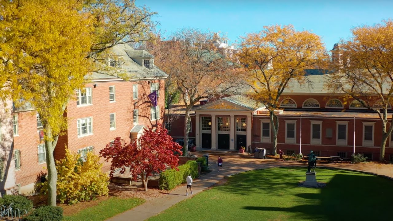 Why Choose the IE Brown Executive MBA? | Student Insights - YouTube