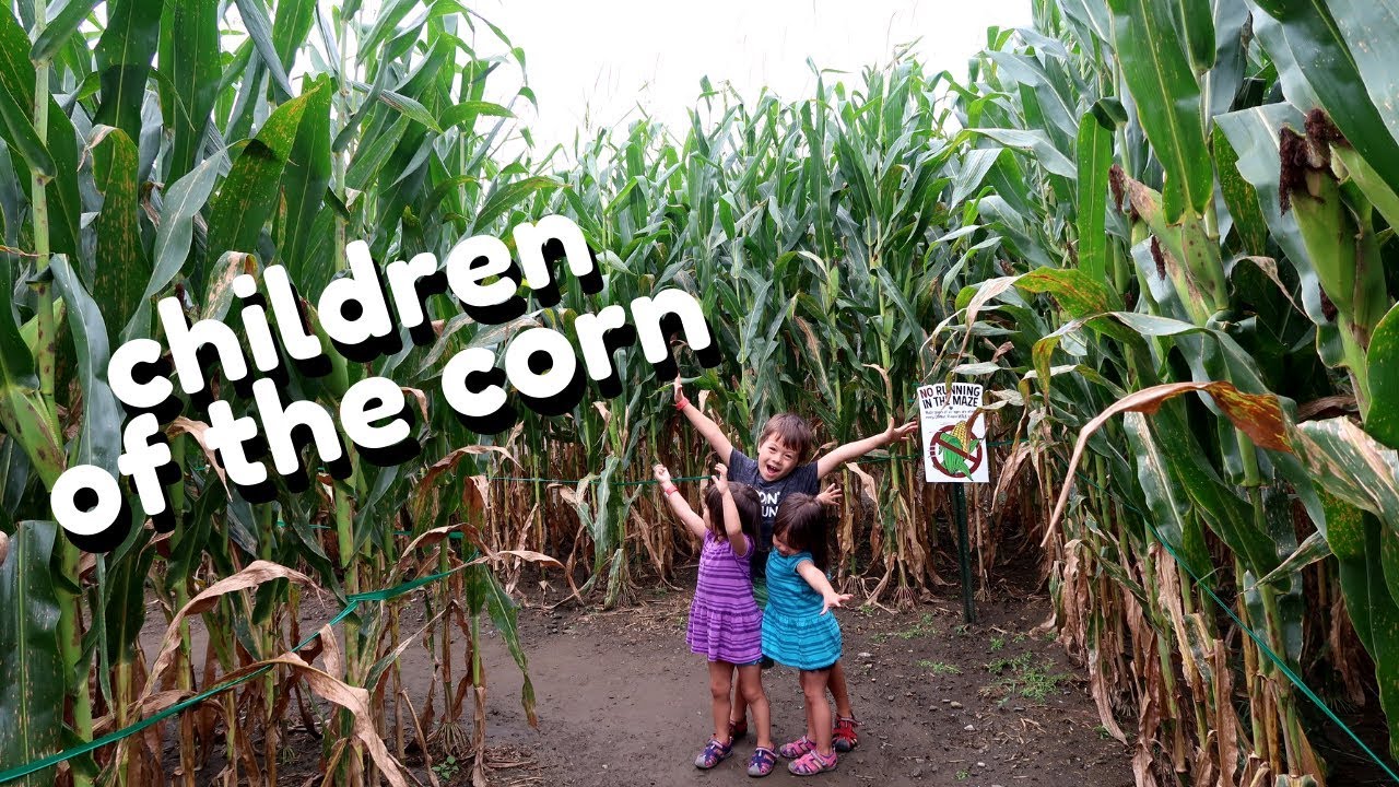 Toddlers Gone Wild: Corn Maze, Roller Coasters & More! - YouTube