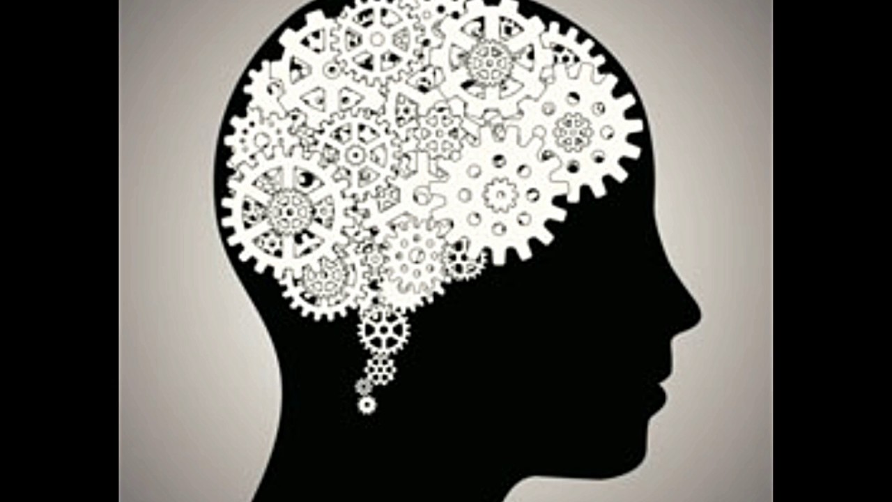 How to Evaluate People Using the General Intelligence Factor g - YouTube
