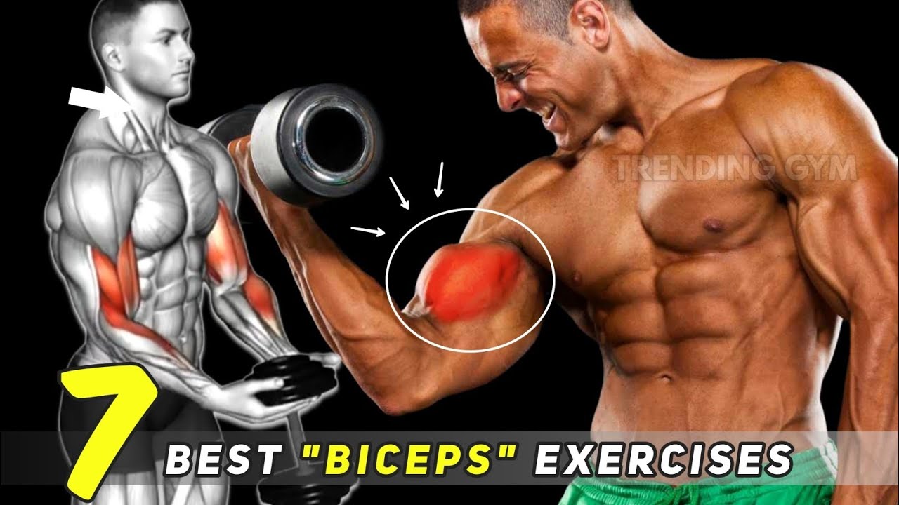 Biceps Day - 7 Best Biceps Exercises Routine - YouTube