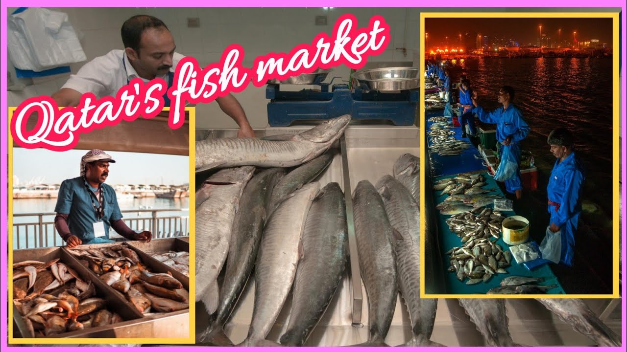 Night fish market in Qatar | Doha fish market | Cheapest price fish ...
