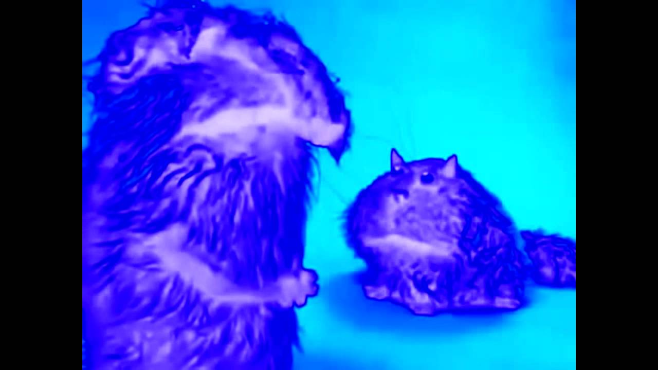 Logos & Effects In Chorded Part 1 - YouTube