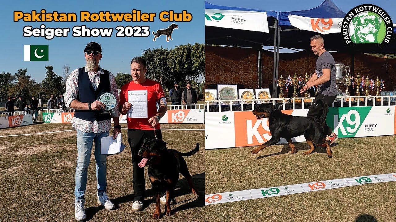 Pakistan Rottweiler Club Siegers 2023 | Rottweiler Siegers Show 2023 ...