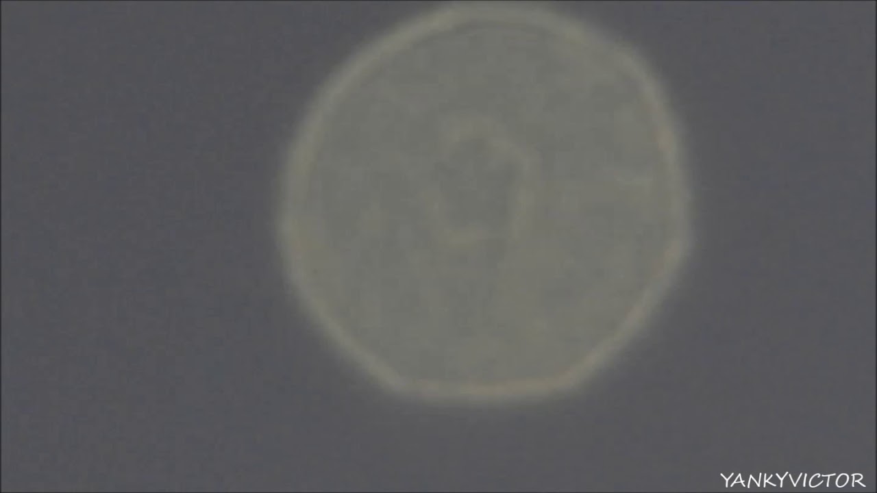 Zooming in to the stars with powerful NIKON P1000/ New York Sky. - YouTube