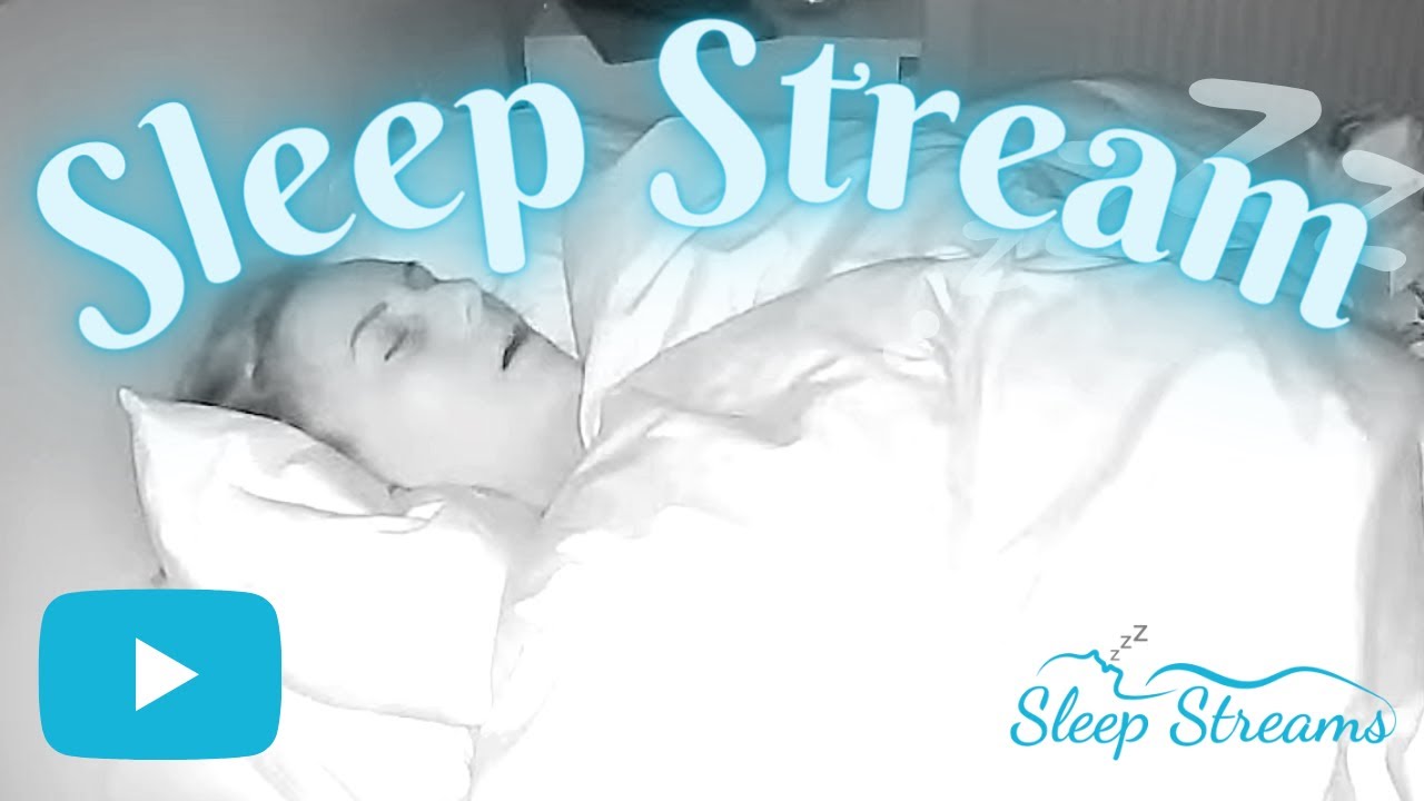 live ASMR Sleep/Snore Stream with Puppies - YouTube