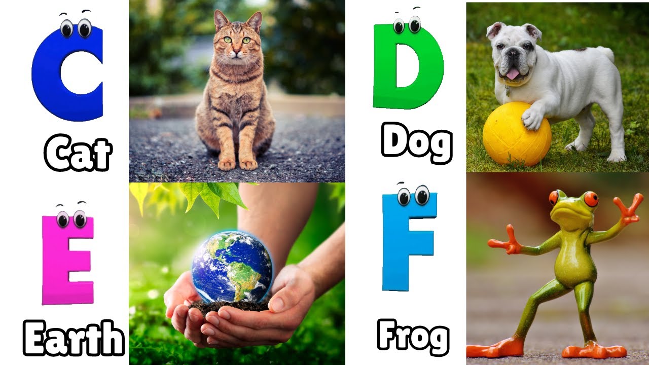 ABC Alphabet Songs For Kids | A For Avocado | ABC Song | ABC Phonics ...