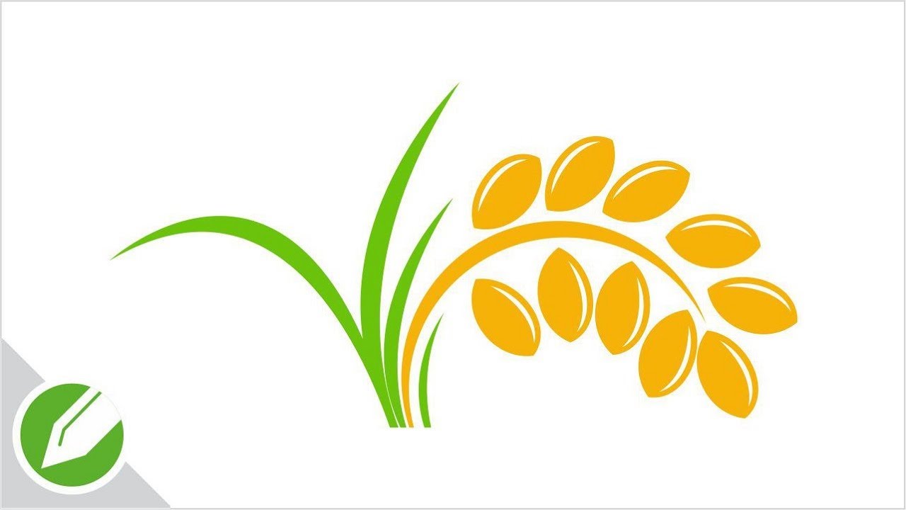 Sheaf of wheat Drawing with CorelDraw | Flat Vector Style | Drawing ...