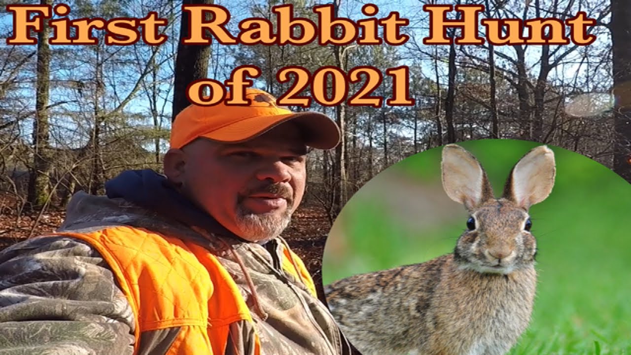 First Rabbit Hunt of 2021! - YouTube