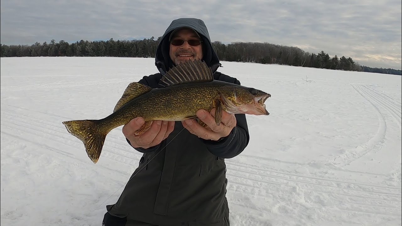 Fishing for Walleye in Wisconsin [Automatic Fisherman + Vulture System ...