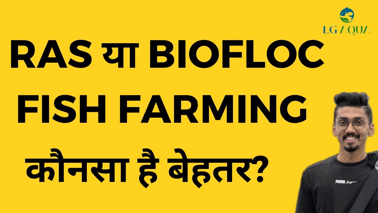 RAS या Biofloc में से कौनसा है बेहतर? | RAS vs Bioloc Fish Farming | LG ...