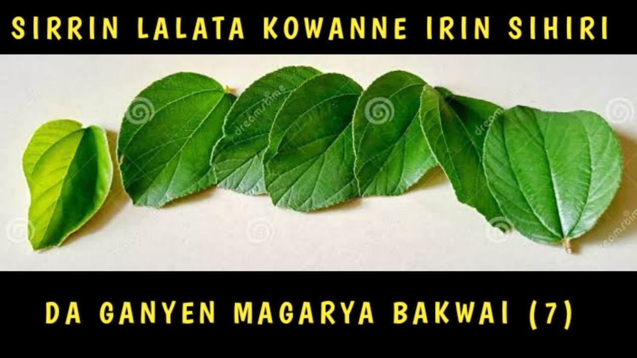 Sirrin lalata kowanne irin Sihiri - YouTube